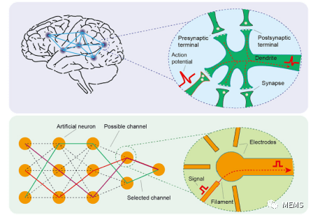 我国科学家在类脑芯片领域取得新进展_量子_二氧化_神经元