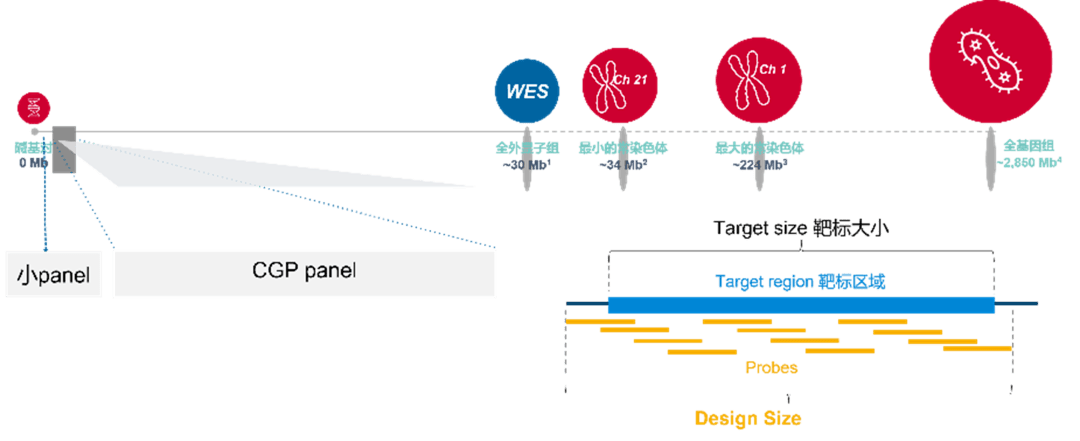 会议邀约丨灵活，可定制，合作开发—NGS Panel 创新设计方案_安捷伦_探针_产品