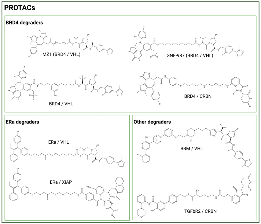 220亿美元大单后，ADC赛道的开发新动态_细胞_负载_毒性