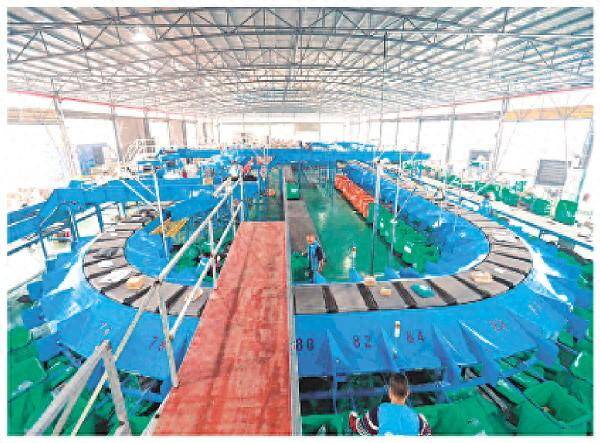 全州骏通物流配送中心正式启用_桂林市_申通_圆通