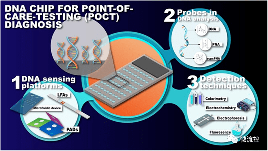 综述：用于DNA检测的POCT微流控器件_应用_技术_诊断