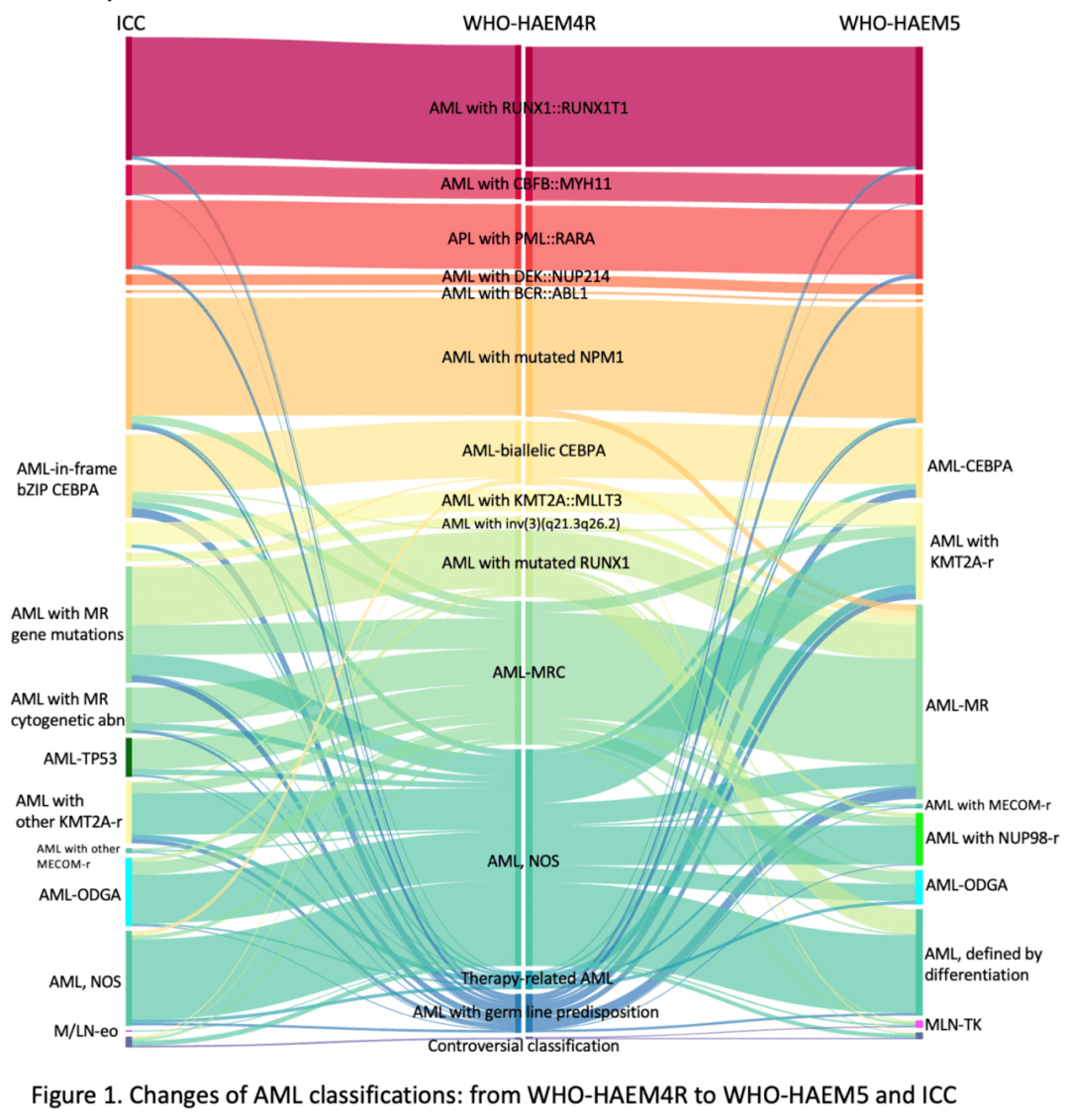 ASH 2023丨刘红星团队：AML分类进展–基于真实世界数据的WHO 2016、WHO 2022与国际共识分类的比较分析_分型_诊断_定义