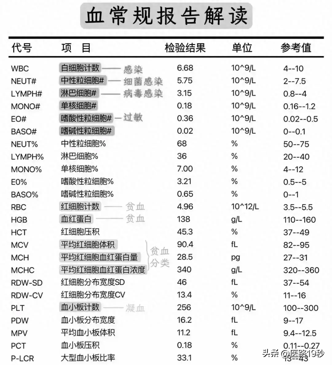 血常规报告怎么解读?